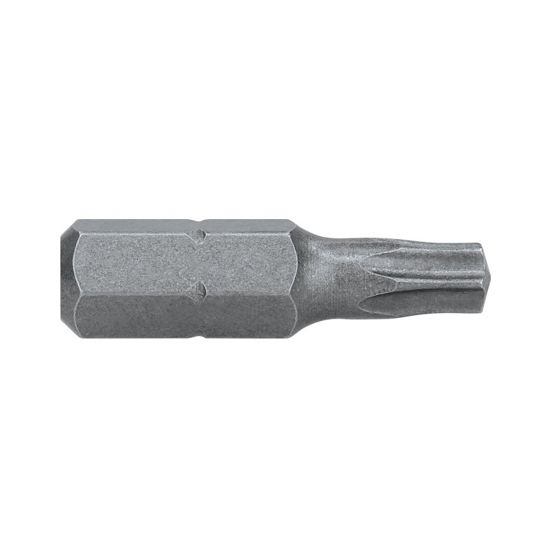 Torx TX25 x 25mm Insert Bit - Alpha Tools